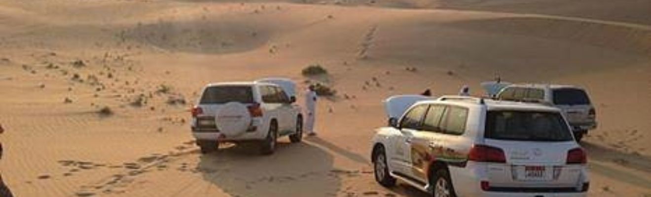 Book Your Dubai Sand Dunes Tour Today - Thrills Await